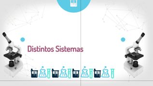 Cuerpo Humano Ximena At Emaze Presentation