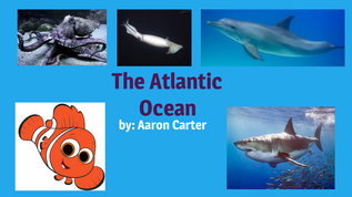 The Atlantic Ocean Biome at emaze Presentation