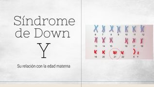 Foodie Light on emaze