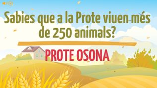 Animals PO at emaze Presentation