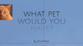 What pet would you have at emaze Presentation