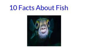 10 Facts About Fish at emaze Presentation