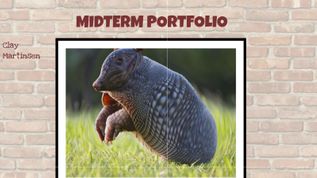 Midterm Portfolio at emaze Presentation