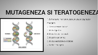 MUTAGENEZA SI TERATOGENEZA at emaze Presentation