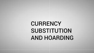 Currency substitution and hoarding at emaze Presentation
