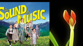 Presentation Name at emaze Presentation