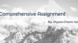Comprehensive Assignment at emaze Presentation
