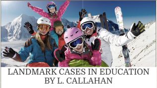landmark cases at emaze Presentation