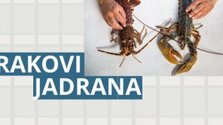 RAKOVI at emaze Presentation