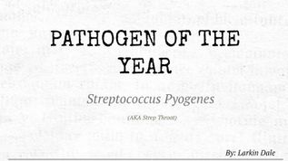 Streptococcus pyogenes at emaze Presentation