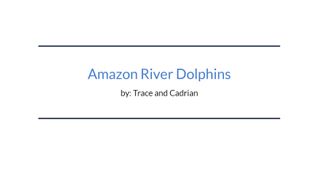 Amazon River Dolphins at emaze Presentation