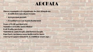 Classification Project at emaze Presentation