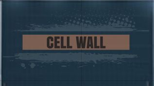 CELL WALL at emaze Presentation