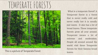 Temperate Forest at emaze Presentation