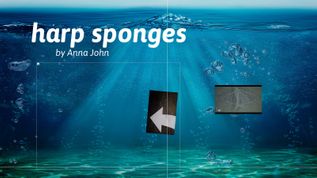 harp sponges at emaze Presentation