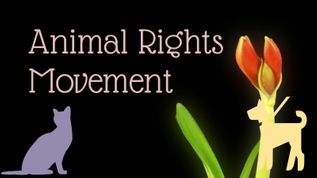 Animal Rights Movement at emaze Presentation