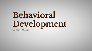 Behavioral Development at emaze Presentation