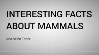 Interesting Facts about mammals at emaze Presentation