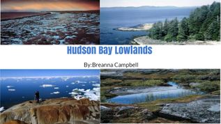 Hudson Bay Arctic Lowlands at emaze Presentation