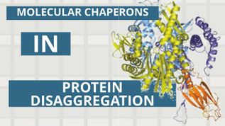 Protein at emaze Presentation