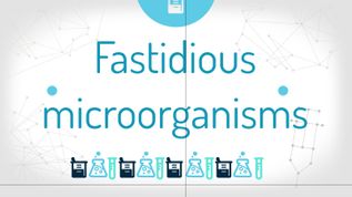 Microbiology at emaze Presentation