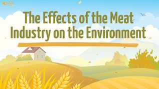 The Effects of the Meat Industry on the Environment at emaze Presentation