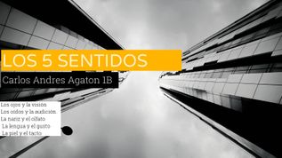 LOS 5 SENTIDOS at emaze Presentation