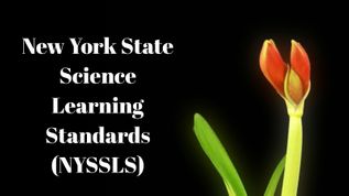 NYSSLS copy1 at emaze Presentation