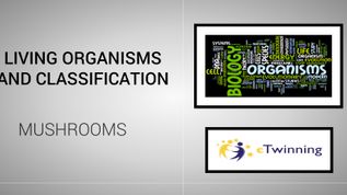 LIVING ORGANISMS AND CLASSIFICATION at emaze Presentation