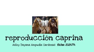 reproducción caprina at emaze Presentation