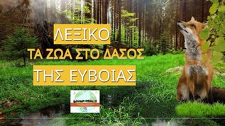 ΤΑ ΖΩΑ ΣΤΟ ΔΑΣΟΣ at emaze Presentation