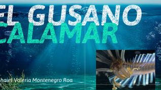 EL GUSANO CALAMAR at emaze Presentation