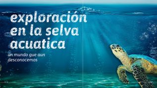 exploración en la selva acuatica at emaze Presentation