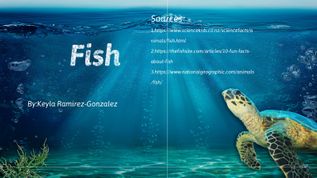 All about fish at emaze Presentation