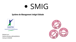 SMIG (1).pptx at emaze Presentation