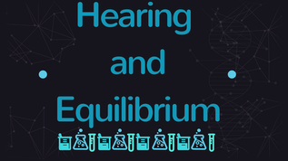 Hearing and Equilibrium at emaze Presentation