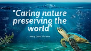 Pitch soa at emaze Presentation