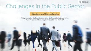 Challenges in the Public Sector at emaze Presentation