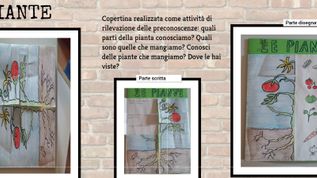 Lapbook piante 4^A at emaze Presentation