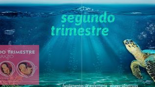 segundo trimestre at emaze Presentation