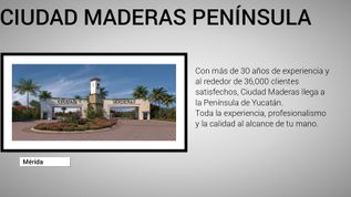 CMP at emaze Presentation