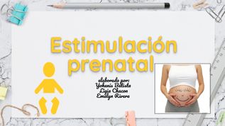 Estimulación prenatal at emaze Presentation