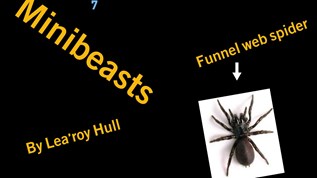 MINIBEASTS at emaze Presentation