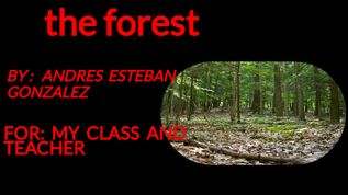 the forest at emaze Presentation