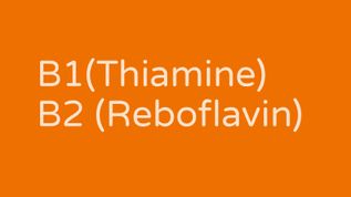 Bright Tutorial at emaze Presentation