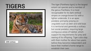 tigers at emaze Presentation