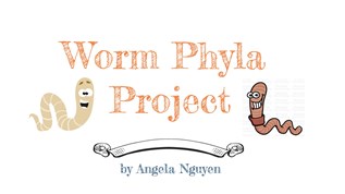 Worm Phyla Project at emaze Presentation