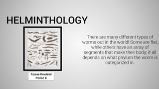 Worms at emaze Presentation