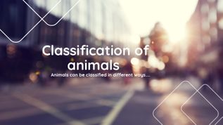 Classification of animals at emaze Presentation