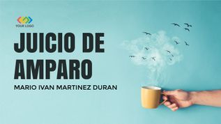 JUICIO DE AMPARO at emaze Presentation